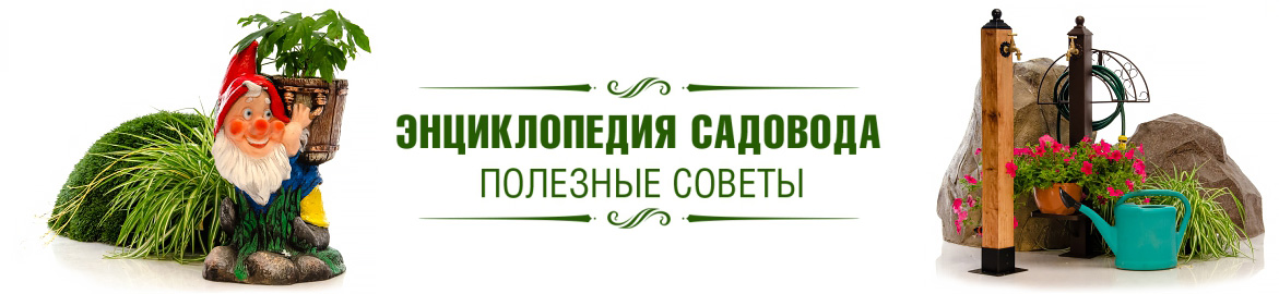 HiTSAD.RU Официальный интернет-магазин товаров для сада и дачи - весна ...